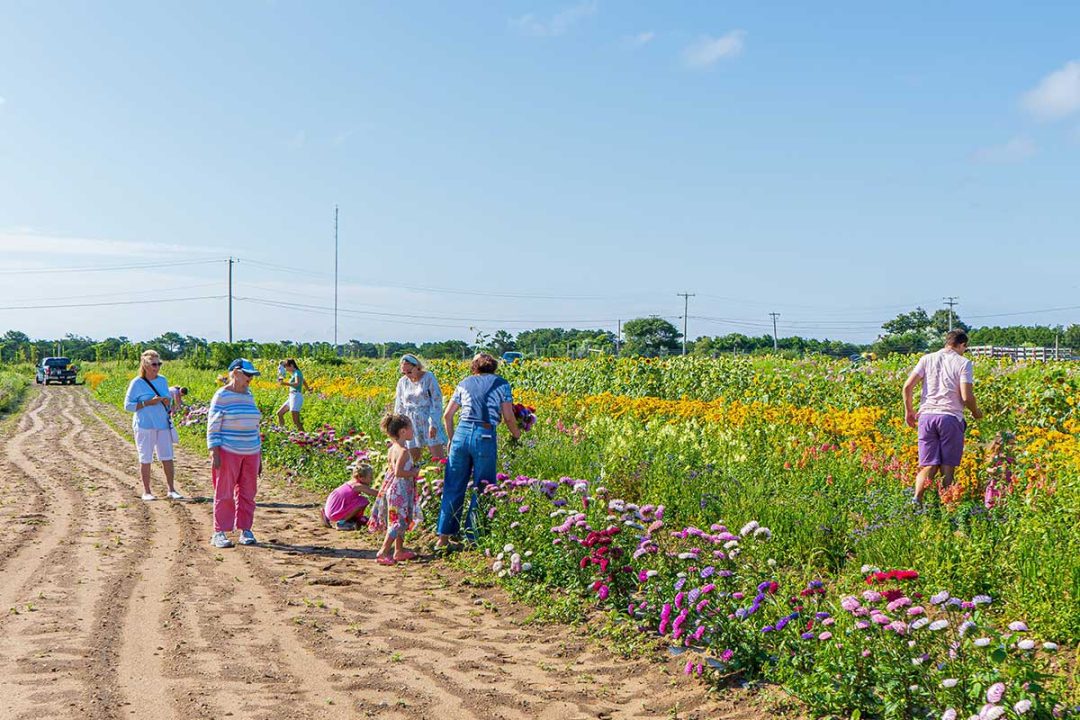 Tour the Farm | Bartlett's Farm