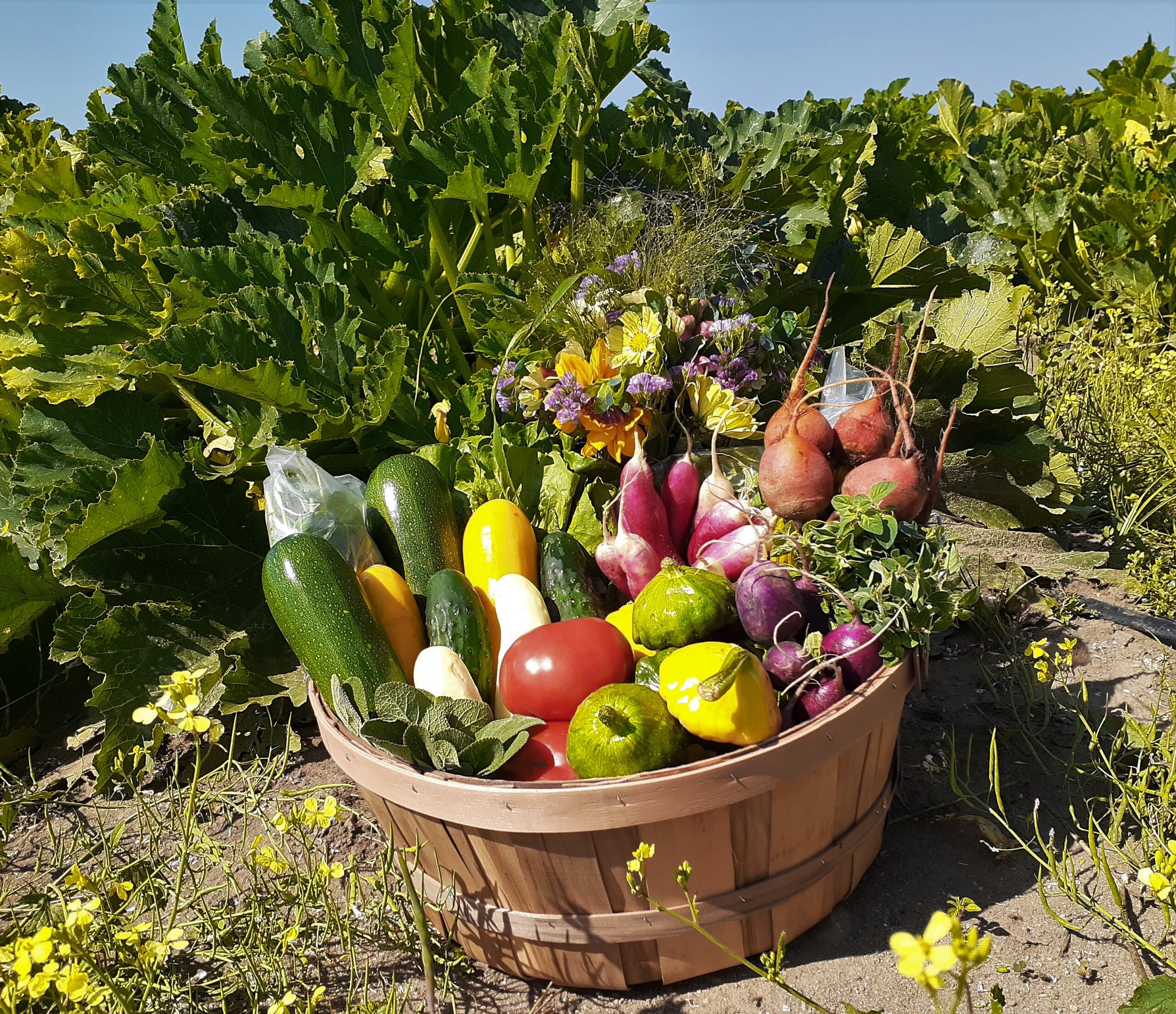 Our Online Store | Bartlett's Farm