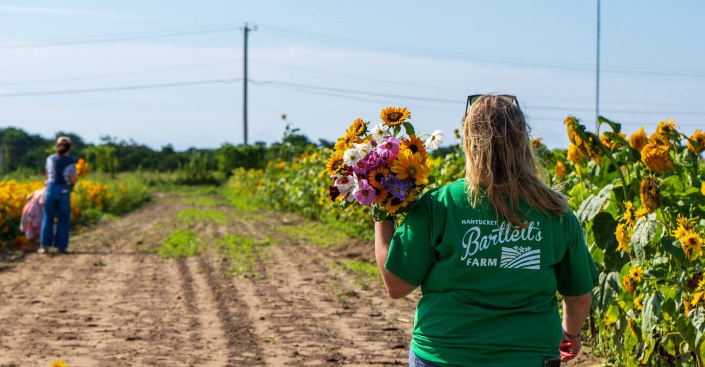 Bartlett's Farm, Nantucket | A Family Owned Farm on Nantucket Island