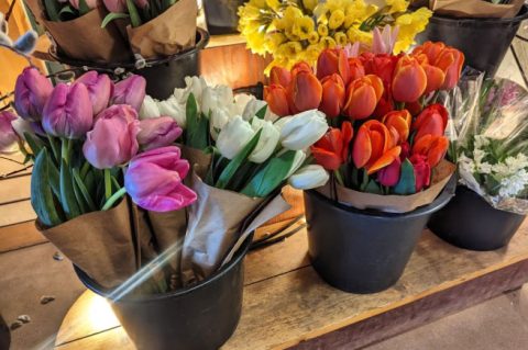 Home - Bartlett's Farm