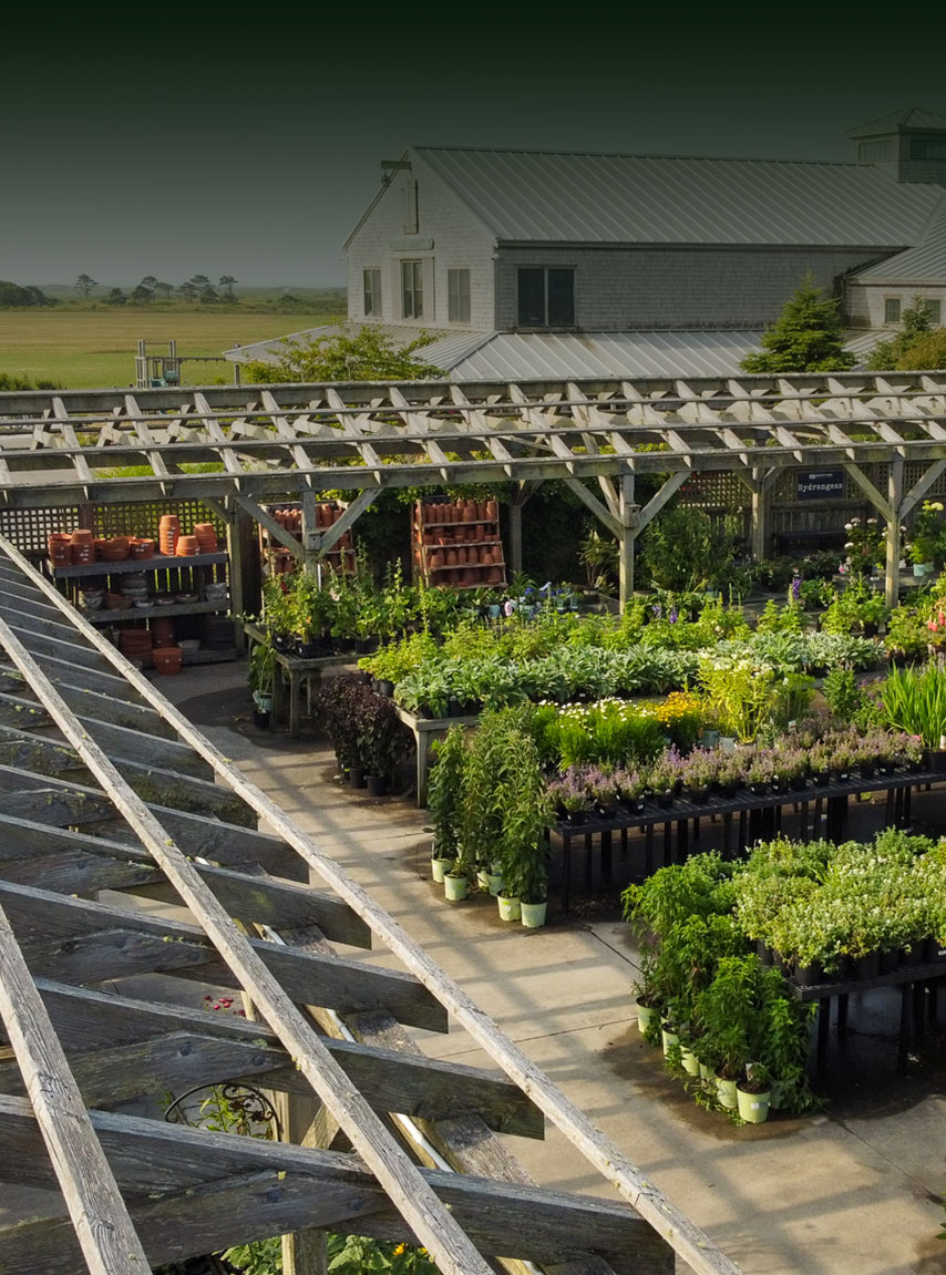 Home - Bartlett's Farm