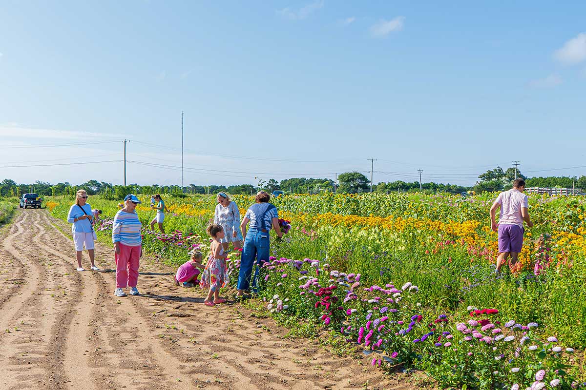 Tour the Farm | Bartlett's Farm