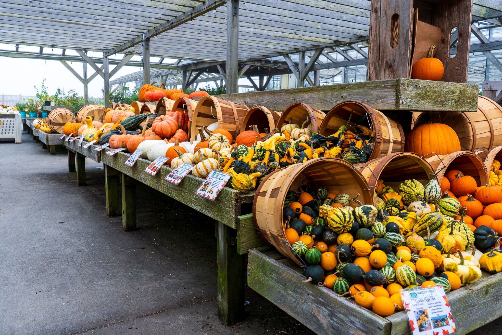 Fall Harvest in the Garden Center - Bartlett's Farm