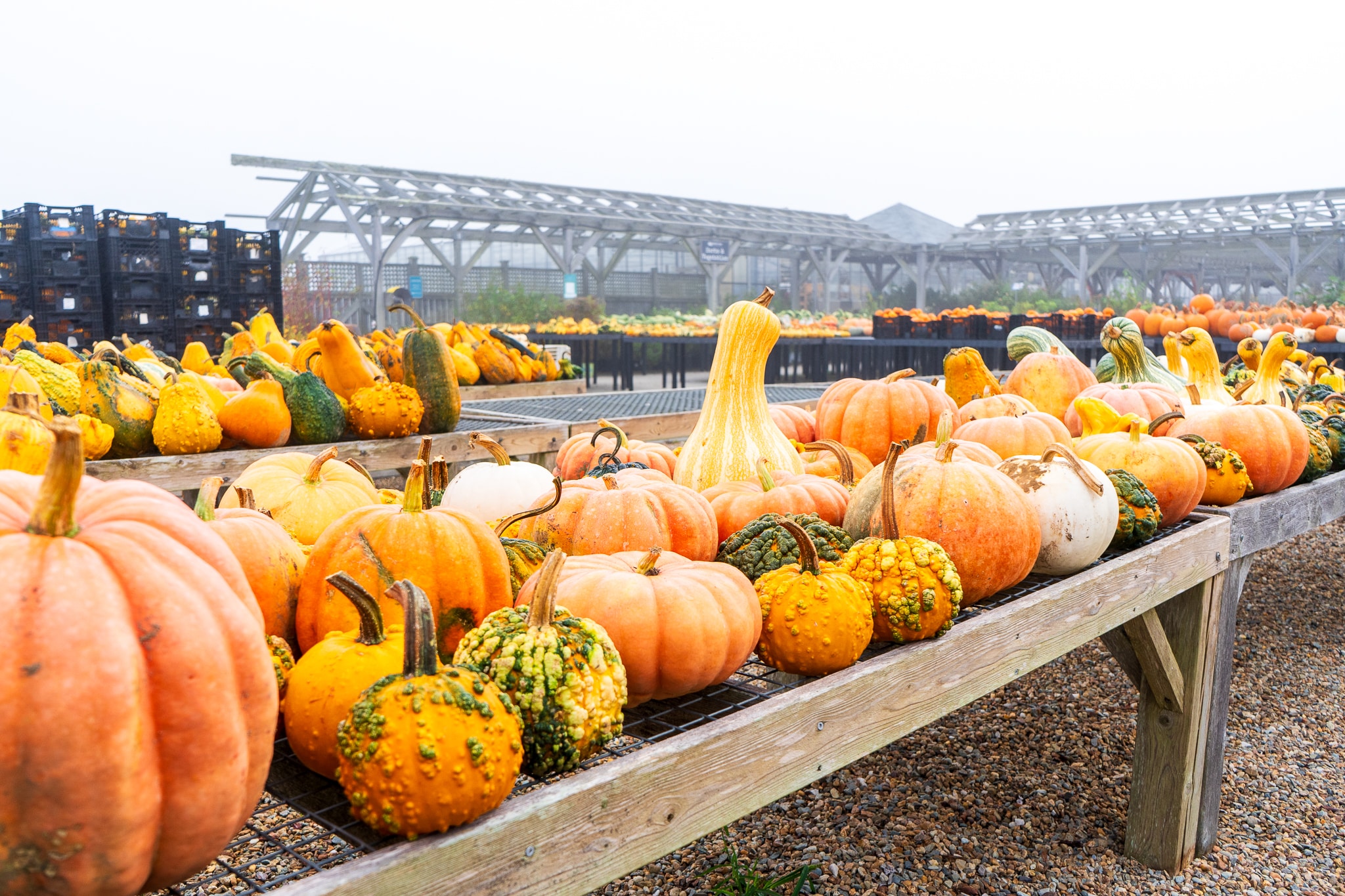 Fall Harvest in the Garden Center - Bartlett's Farm