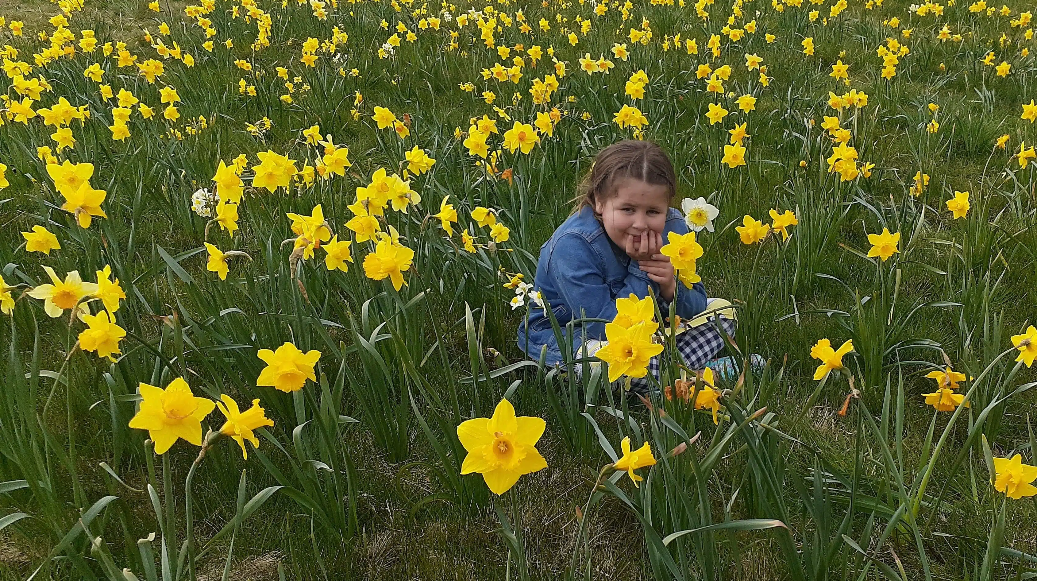 Doing Daffy - Bartlett's Farm